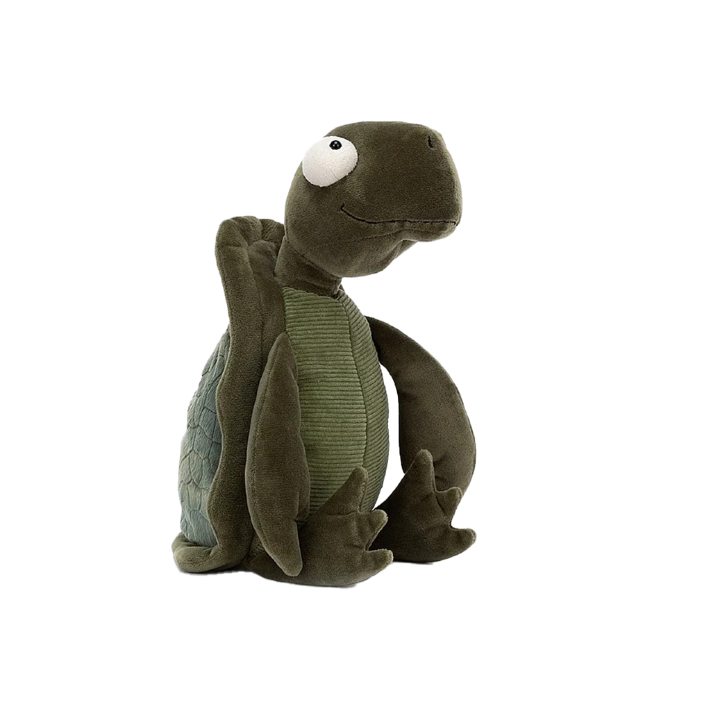 Tommy Turtle – The Gold Parrot